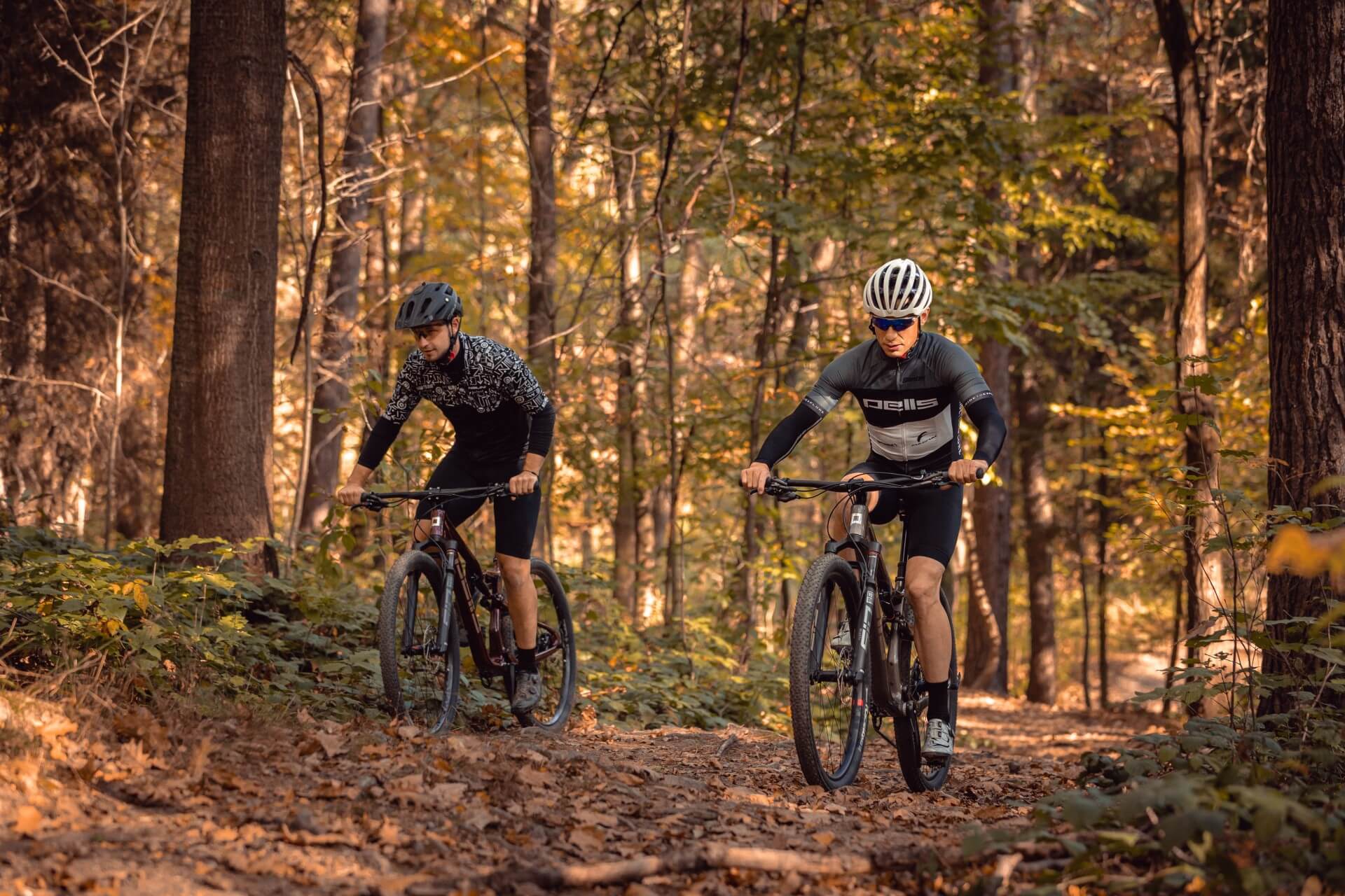 Jízdní kola a elektrokola Pells | #RIDETOEXPLORE | Pells.eu